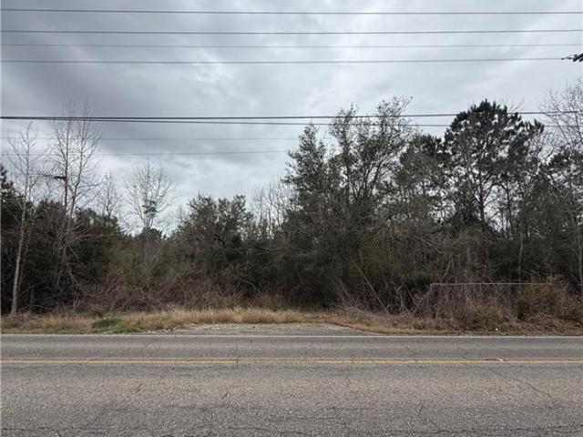 34180 Bayou Liberty Road