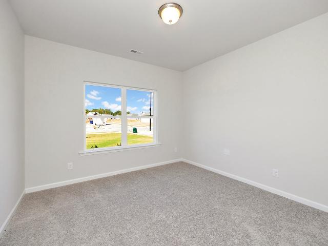 3419 Date Palm Drive