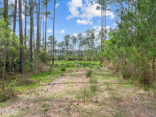 3411 Upper Neck Road # 2