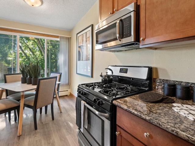 3413 53rd Ave N 1 Bedroom Apartment for Rent at 3413 53rd Ave N, Brooklyn Center, MN 55429