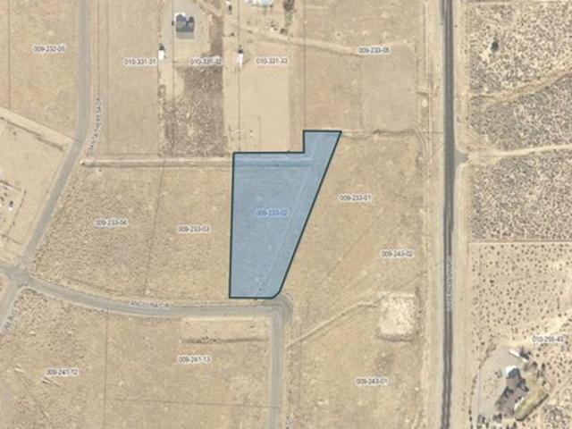 341 Angelina Cir, Wellington, NV 89444