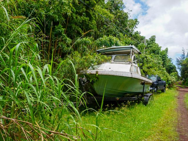 341 Kapiolani St, Pahoa, HI 96778 | MLS #725656