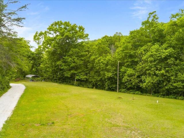 341 Lovely Bluff Rd