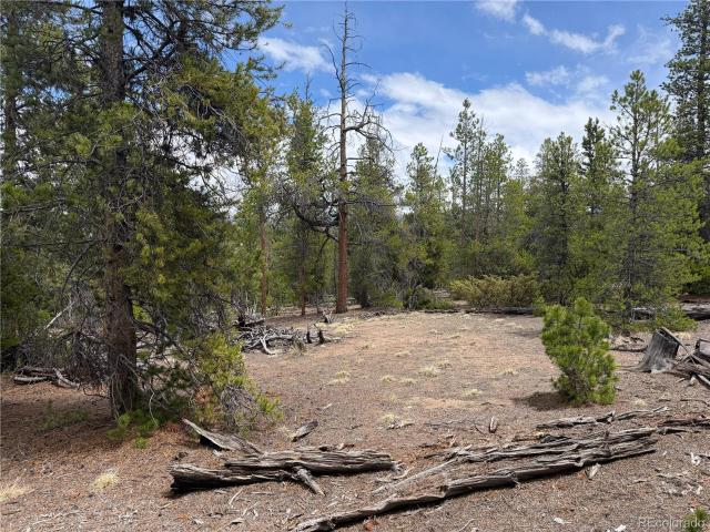 341 Lodgepole Drive