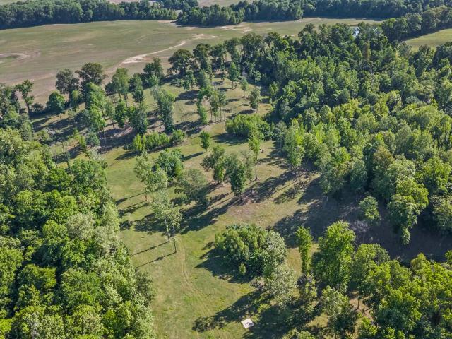 341 long hole rd