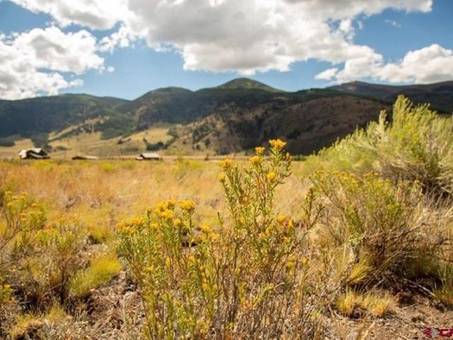 341 Spruce Dr, Creede, CO 81130