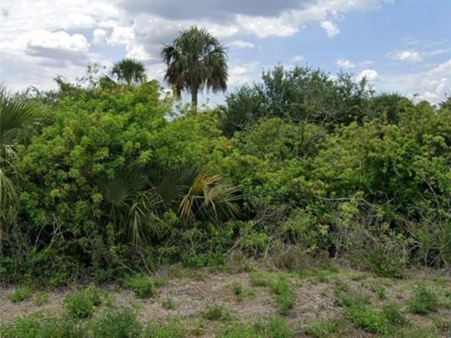 341 Patio St, Lehigh Acres, FL 33974