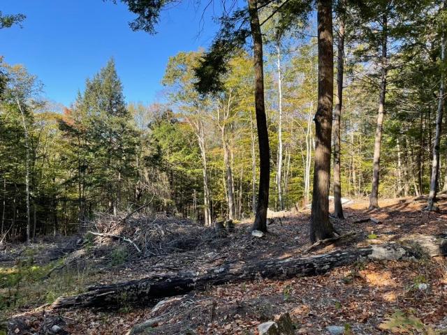 341 Perkins Hill Road # 7