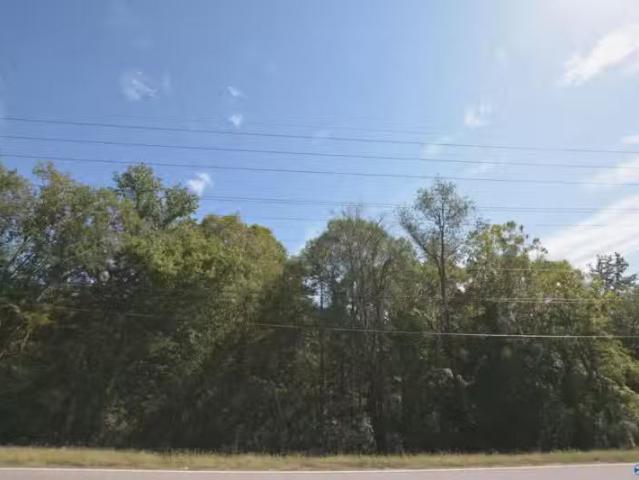 3424 WINCHESTER RD, NEW MARKET, AL 35761