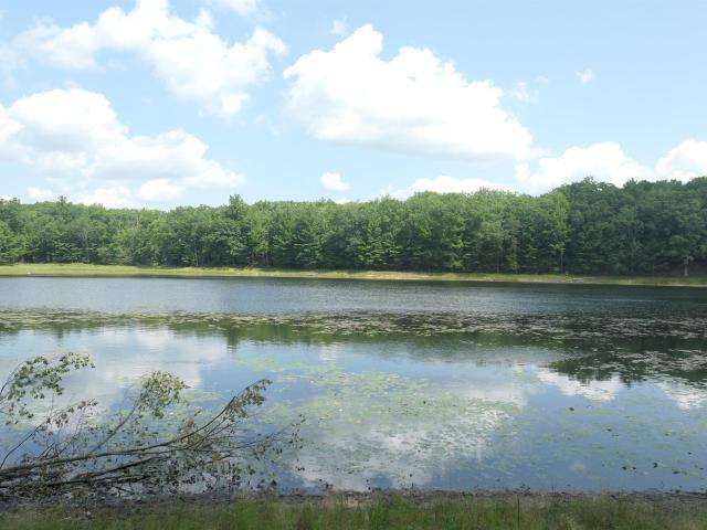 3420 Bungo Trail