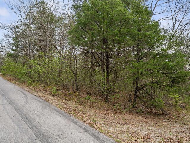 342 & 343 Turkey Mountain Estates