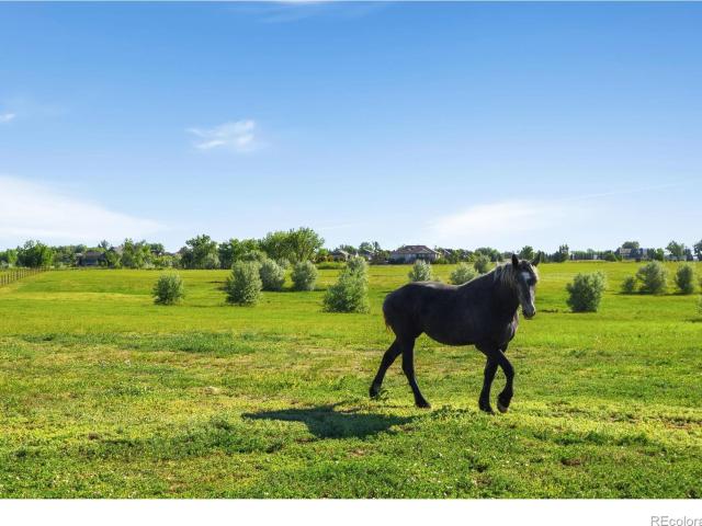 342 Gray Horse Drive