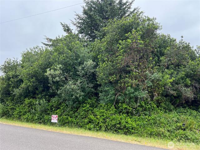 342 N Razor Clam Drive