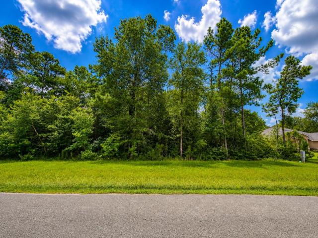 342 Road 662