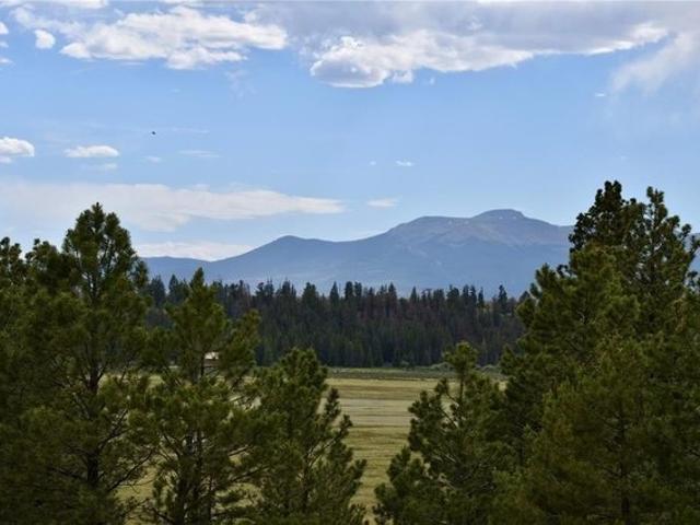 3437 Redhill Rd Lot 469, Fairplay, CO 80440