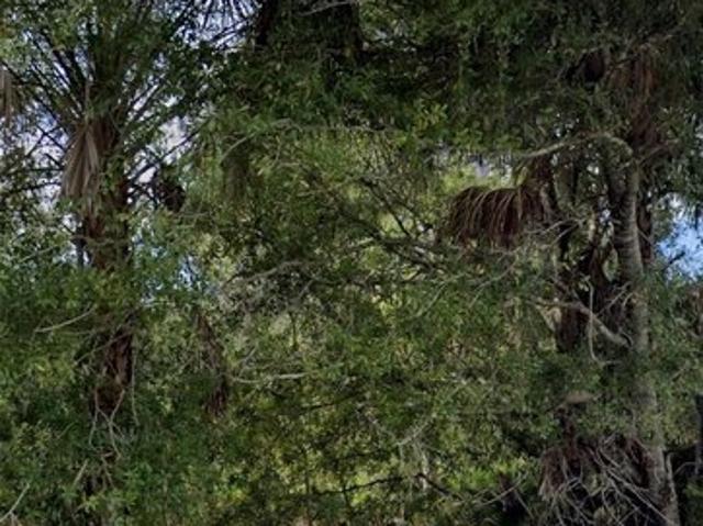 3439 Tiffiny St, Punta Gorda, FL 33980