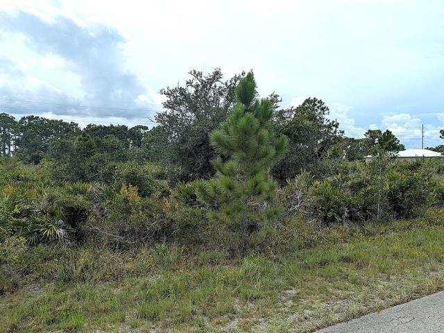 3430 Gerber Ave, Lake Placid, FL 33852 | MLS #L4955 | Compass
