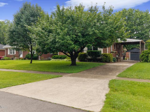 3431 Allison Way