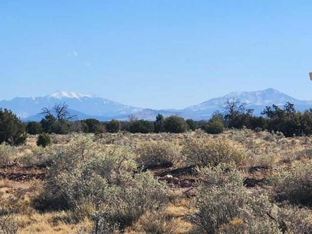 3433 Red Butte Rd Lot A, Williams, AZ 86046