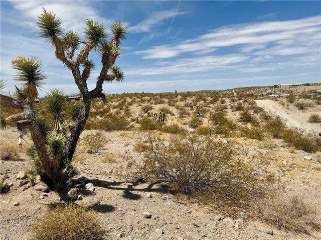 343 02 B W Bright Angel Ln, Meadview, AZ 86444