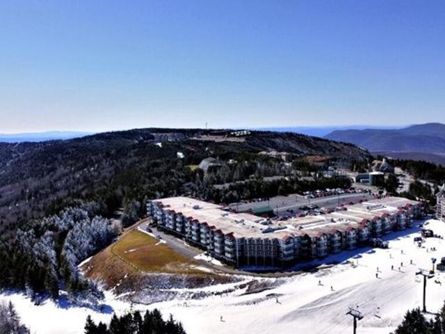 343 345 Mountain Ldg, Snowshoe, WV 26209