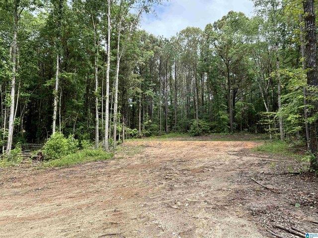 343 County Road 892 Lot TRACT2, Wedowee, AL 36278