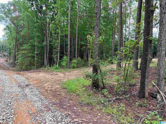 343 County Road 892 # Tract 1