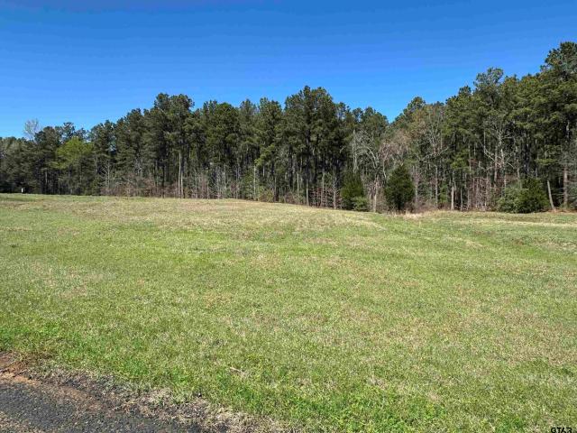 343 Cherokee Cove Dr, Jacksonville, TX 75766 | MLS #26003