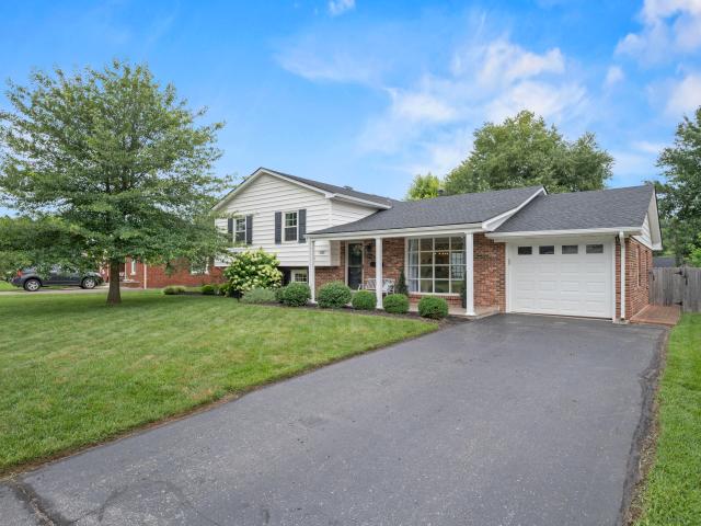 343 Curtin Drive