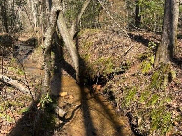343 Hank Fry Rd