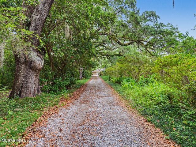 343 Lovers Lane