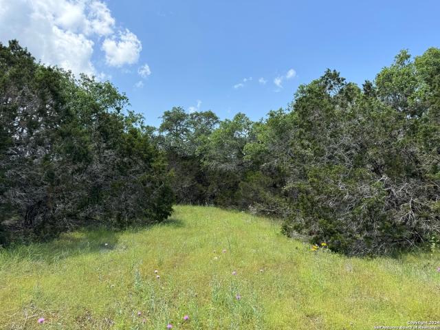 343 Serenity Pass, Spring Branch, TX 78070 | MLS #1867 | Compass
