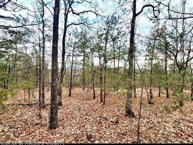 34441 Berryfrost Ln Lot 65, Poteau, OK 74953