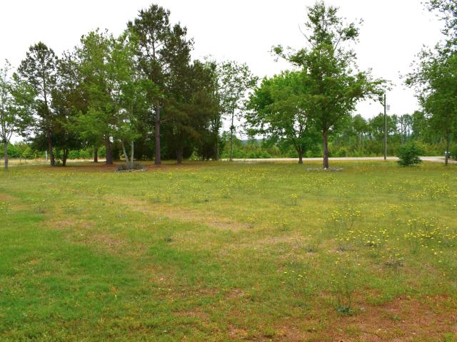 3444 Sandhill Road