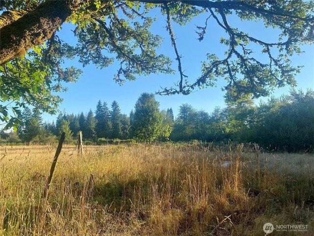 3444 W Matlock Brady Rd, Elma, WA 98541