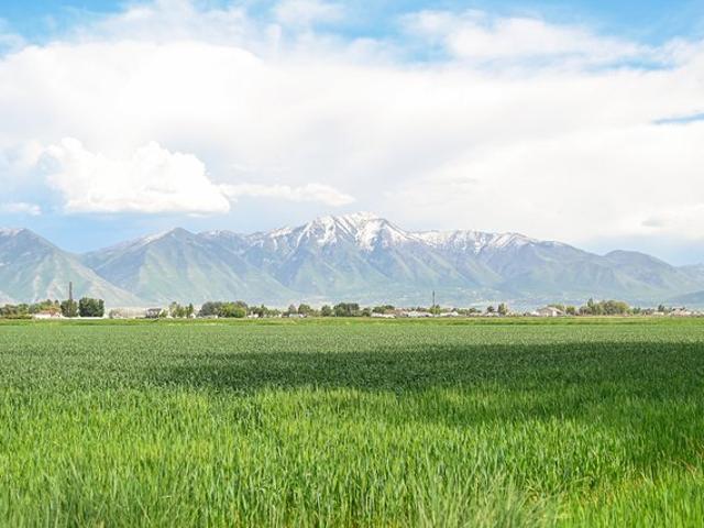 3445 W 5200 S, Benjamin, UT 84660