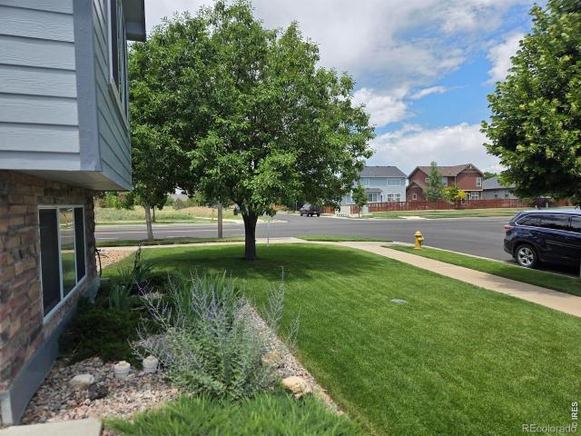 3445 Yule Trail Drive