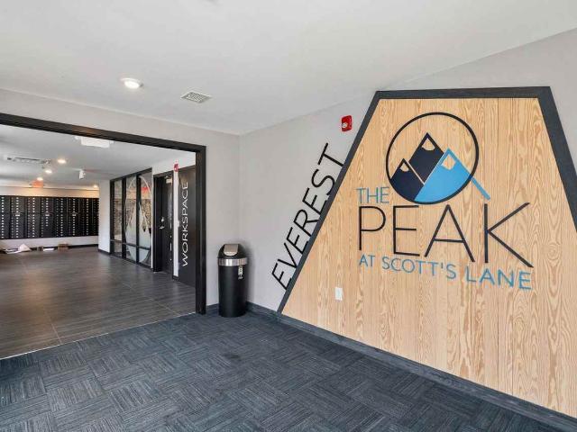 3449 Scotts Ln 1 Bedroom Apartment for Rent at 3449 Scotts Ln, Philadelphia, PA 19129 Allegheny West