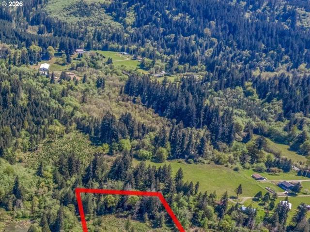 34403 NE Lewisville Hwy, Unit 1, Yacolt, WA 98675 | MLS #790913 | Compass