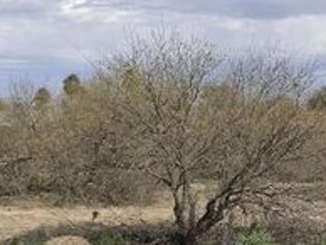 3440 W Atlantic Dr Unit 10, Eloy, AZ 85131