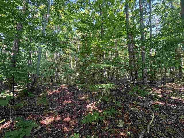 3443 Needles Dr, Harbor Springs, MI 49740
