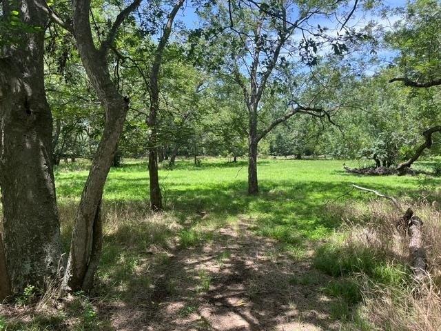 344 and 343 Bateman Rd, Red Rock, TX 78662