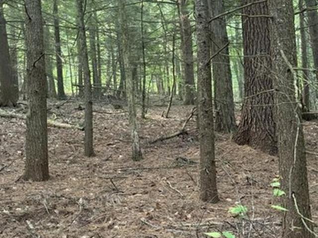 344 Dickinson Hill Rd, Bolton Landing, NY 12824