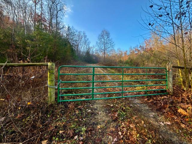 3456 Warrensburg Road