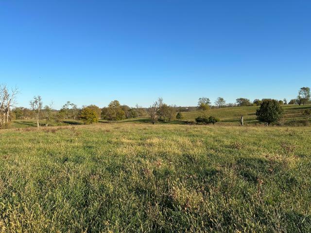 3451 Cynthiana Road