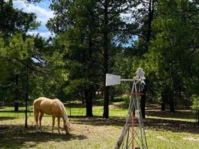 34525 Forest Park Dr, Elizabeth, CO 80107