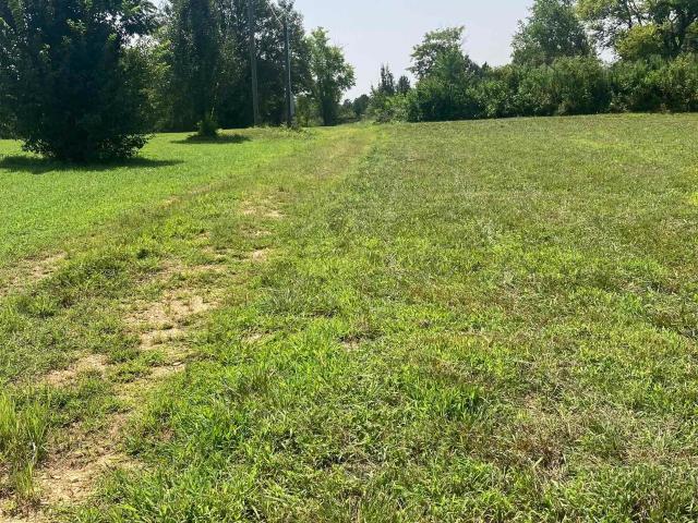 345 County Road 367