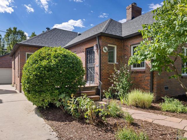 345 Dahlia Street