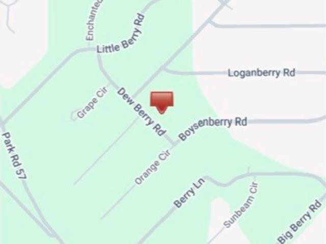 345 Dew Berry Rd