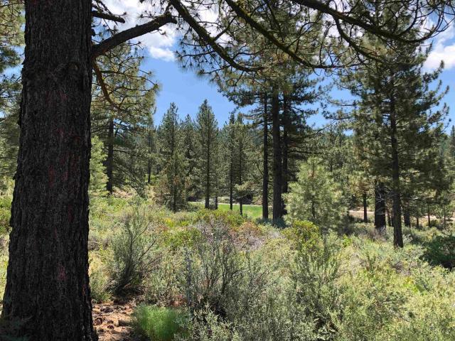345 Falling Water, Clio, CA 96106 | MLS #20230